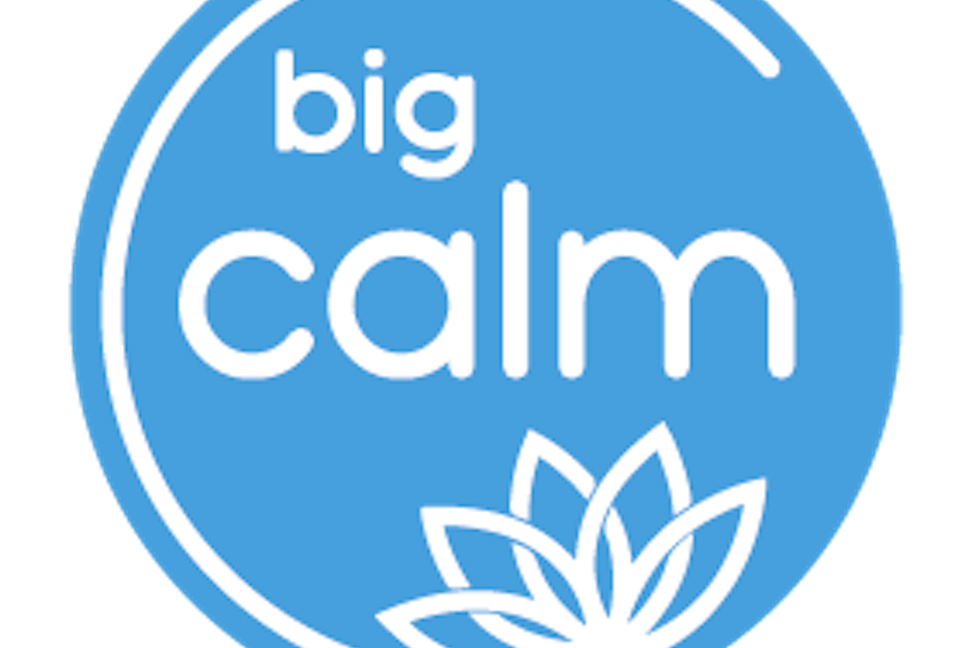 Big Calm Holistic Therapies | Treatment Room - Wellness in Bethnal ...