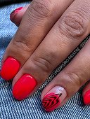 AMBO studio | Grožio salonas - Dainava, Kaunas - Treatwell